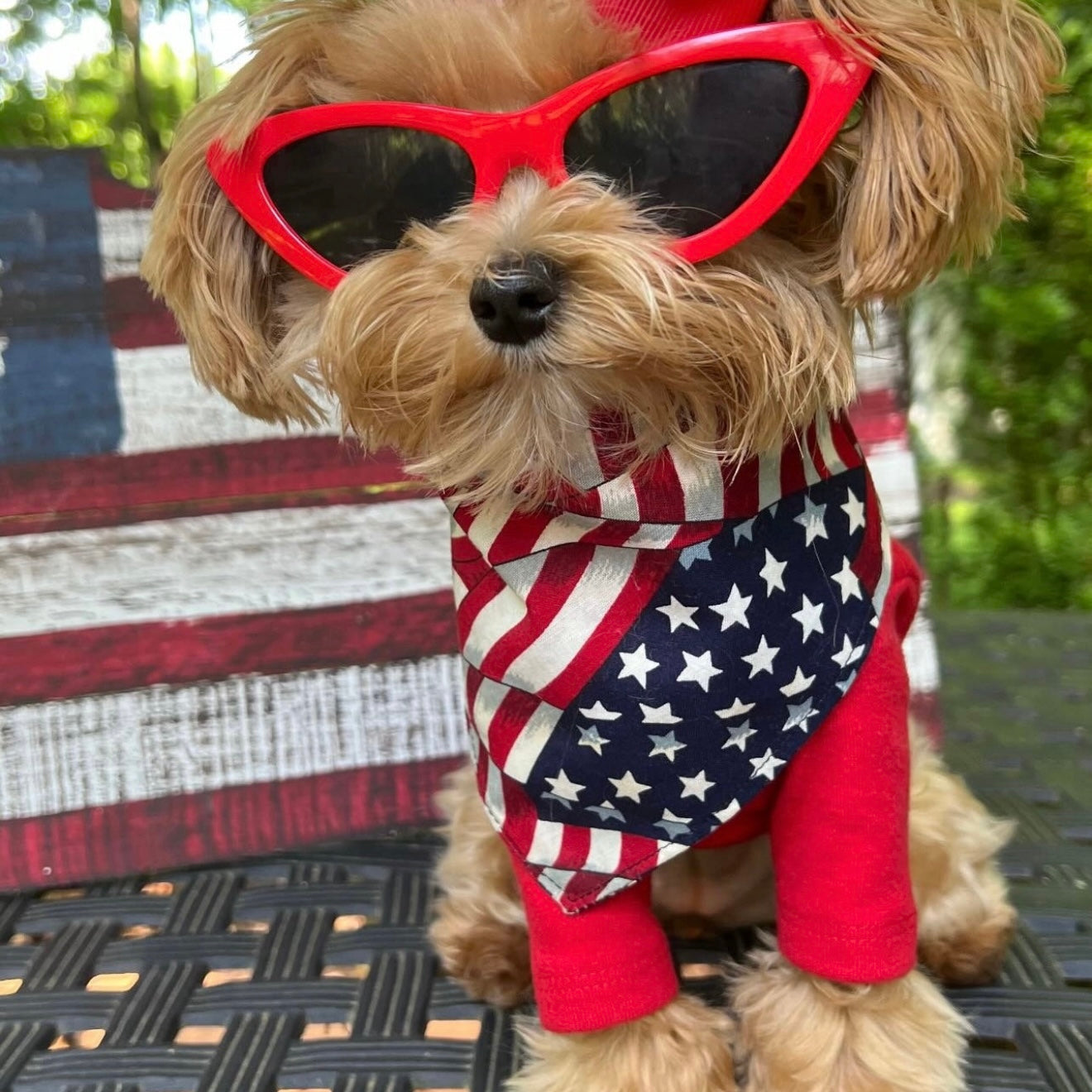 TURTLENECKS – ARCHIE AND WINSTON DOG GOODS